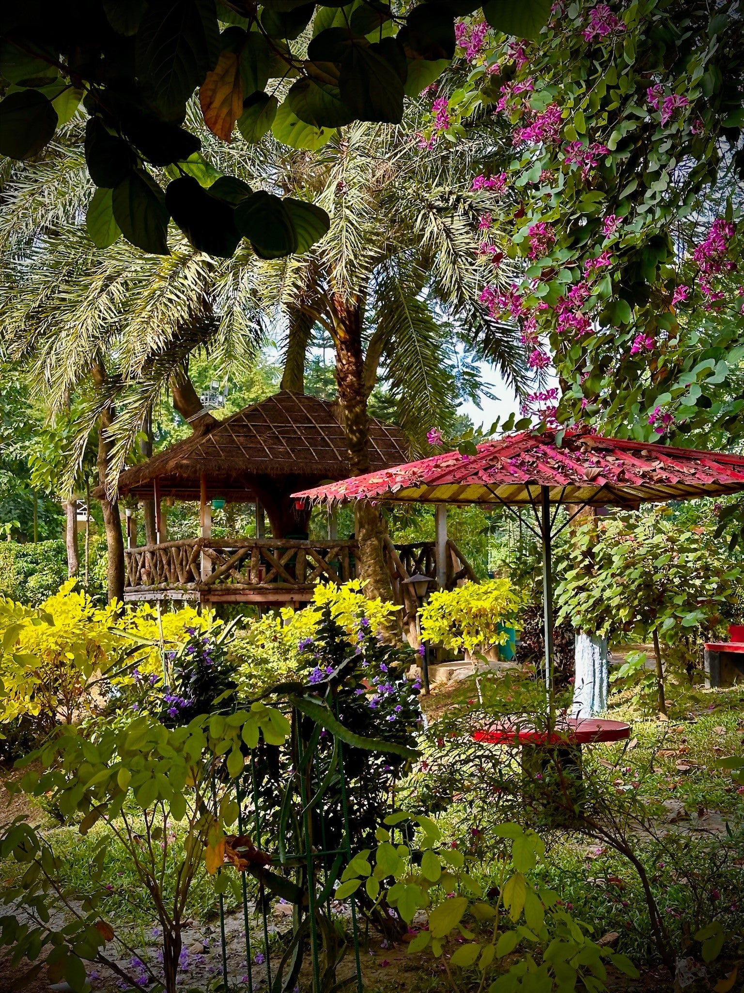Barnochata Resort: Your Premier Luxury Getaway Near Dhaka